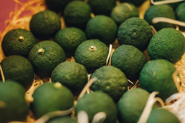 SUDACHI bei BOS FOOD kaufen – Die exklusive Zitrusfrucht für ...